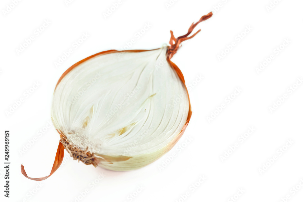 Bulb Onion, Allium cepa, cut in half with visible scale leaves, basal ...