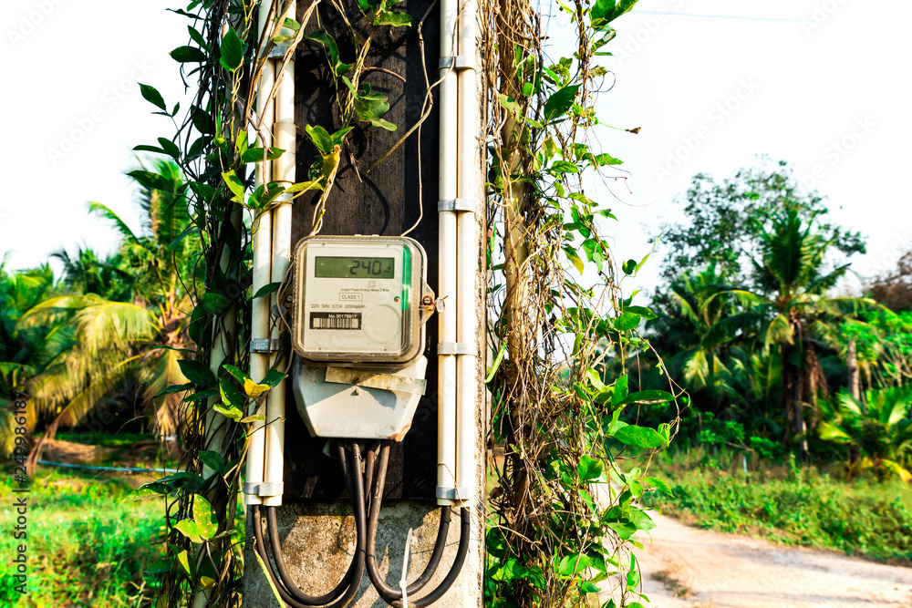 Electricity meter reading with green leaves background, Meter measuring ...