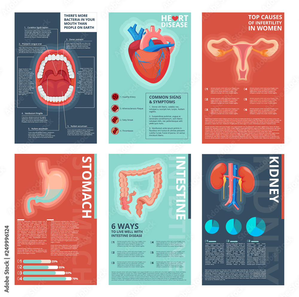Medical infographic pages. Health digestive systems healthcare human ...