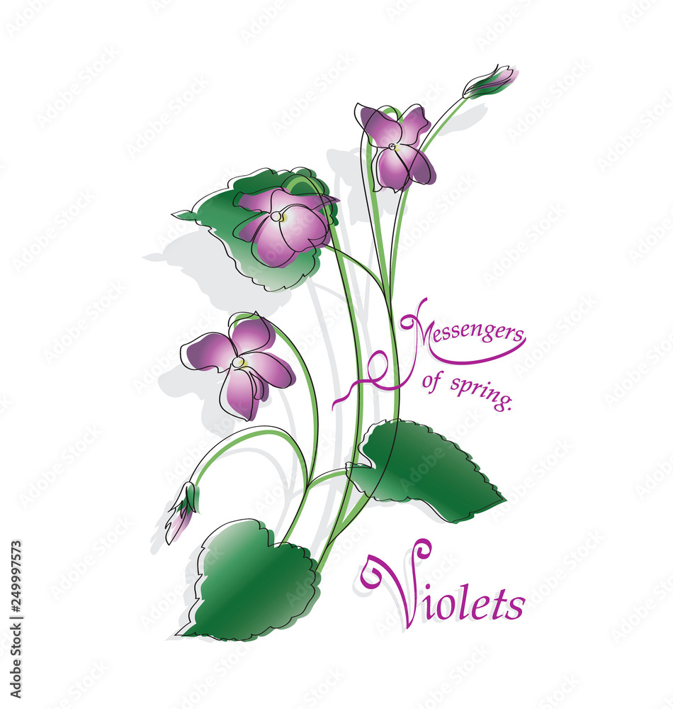Gentle violets. Messengers of spring. Design for greeting cards ...