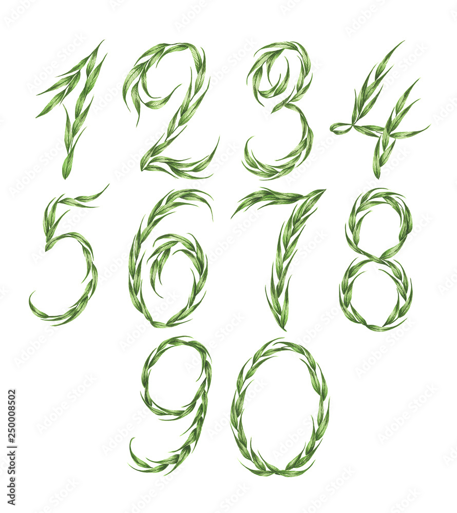 Collection of numbers. Alphabet of green leaves, Zero to nine, Numbers ...