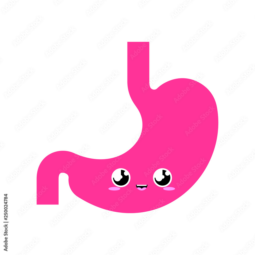 Stomach Diagram For Kids