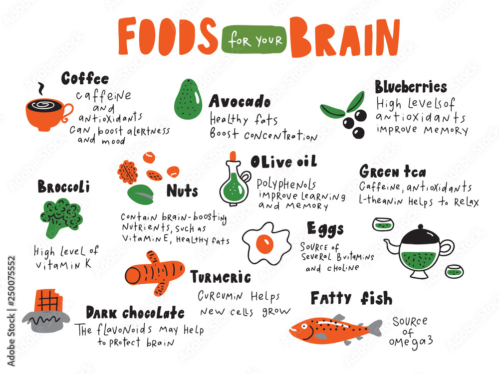 Food for your brain. Doodle illustration of different healthy food and ...