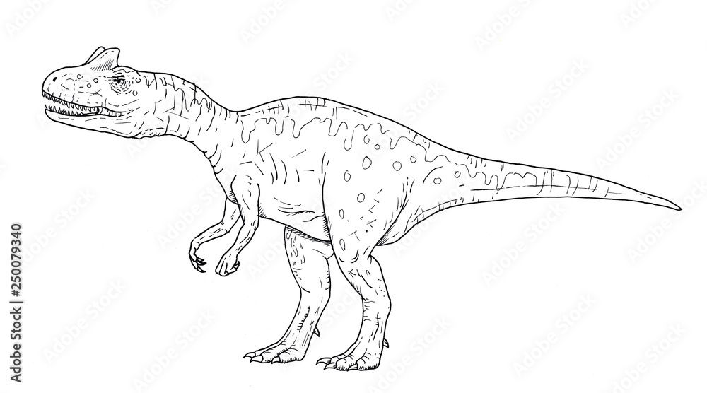 Allosaurus Drawing