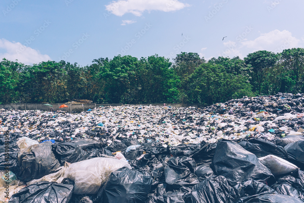 PLASTIC POLLUTION in the jungle. Dirty plastic bottles and bags on a ...