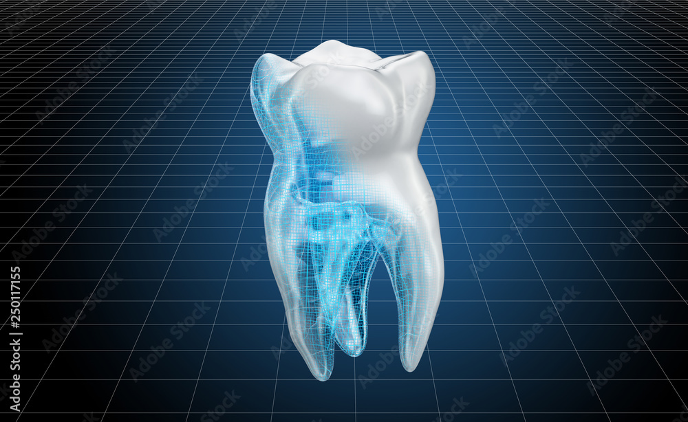 Visualization 3d cad model of human tooth, 3D rendering Stock ...