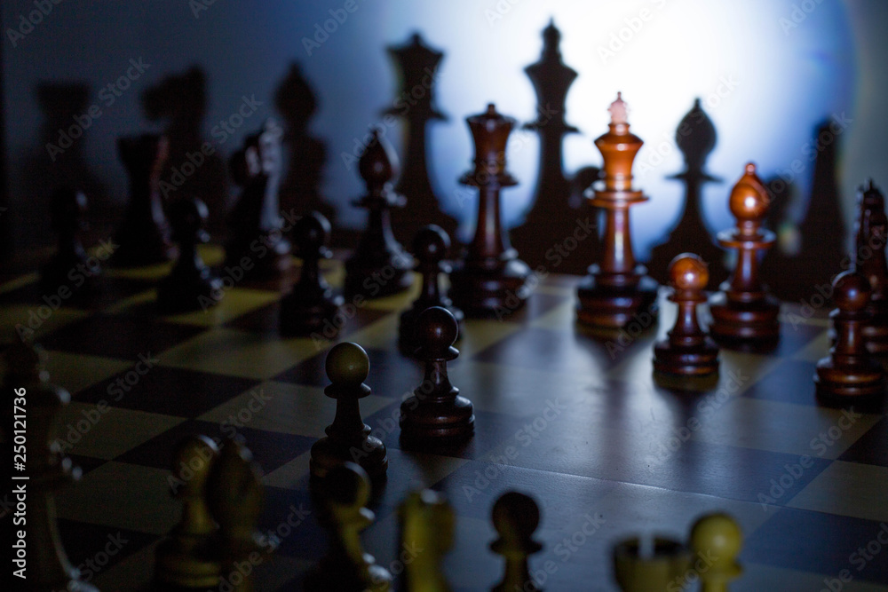White and black chess pieces set in slim rows, casting its shadow ...