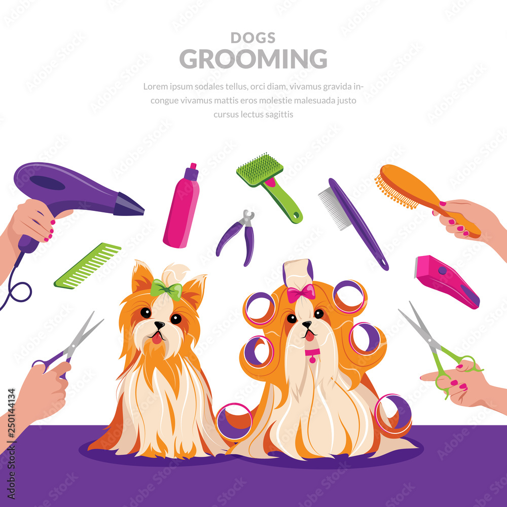Dog grooming vector cartoon illustration. Pets care concept. Cute shih ...