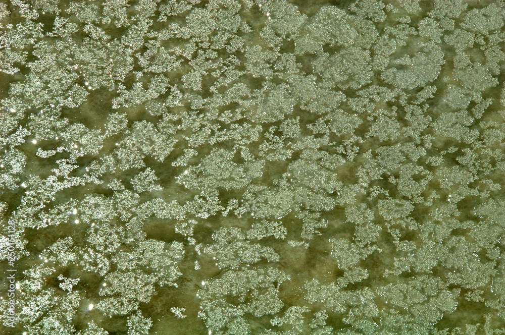 Lithium carbonate precipitate floating on brine. Lithium is a strategic ...