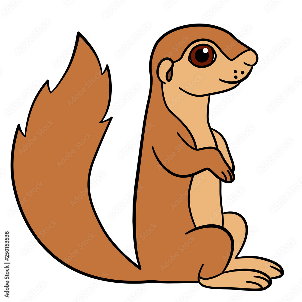 Cartoon animals. Little cute baby xerus. Stock Vector | Adobe Stock
