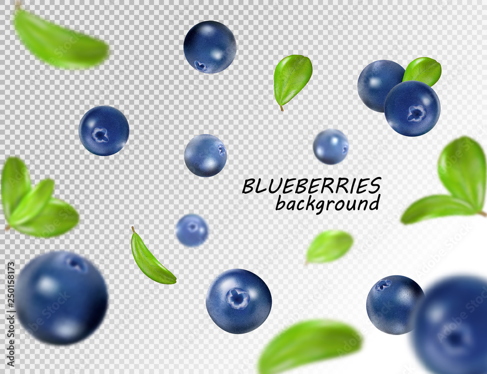Falling blueberry isolated on transparent background. Quality realistic ...
