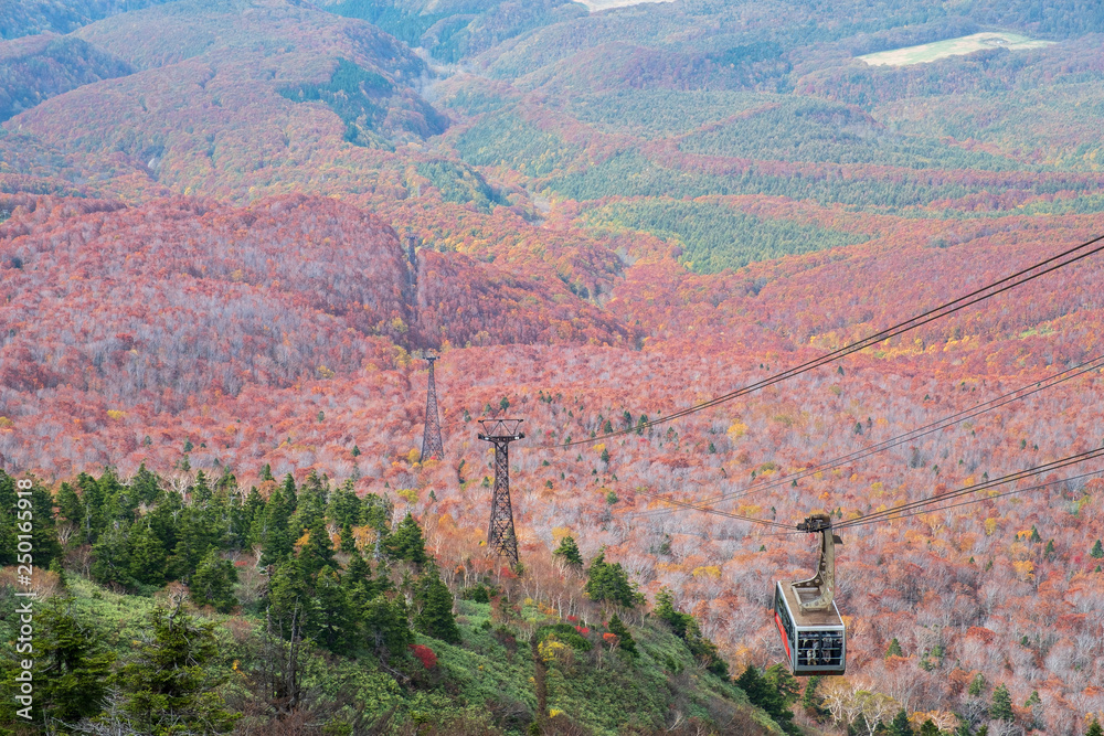 Hakkoda Ropeway, cable car riding to the summit on colorful autumn ...
