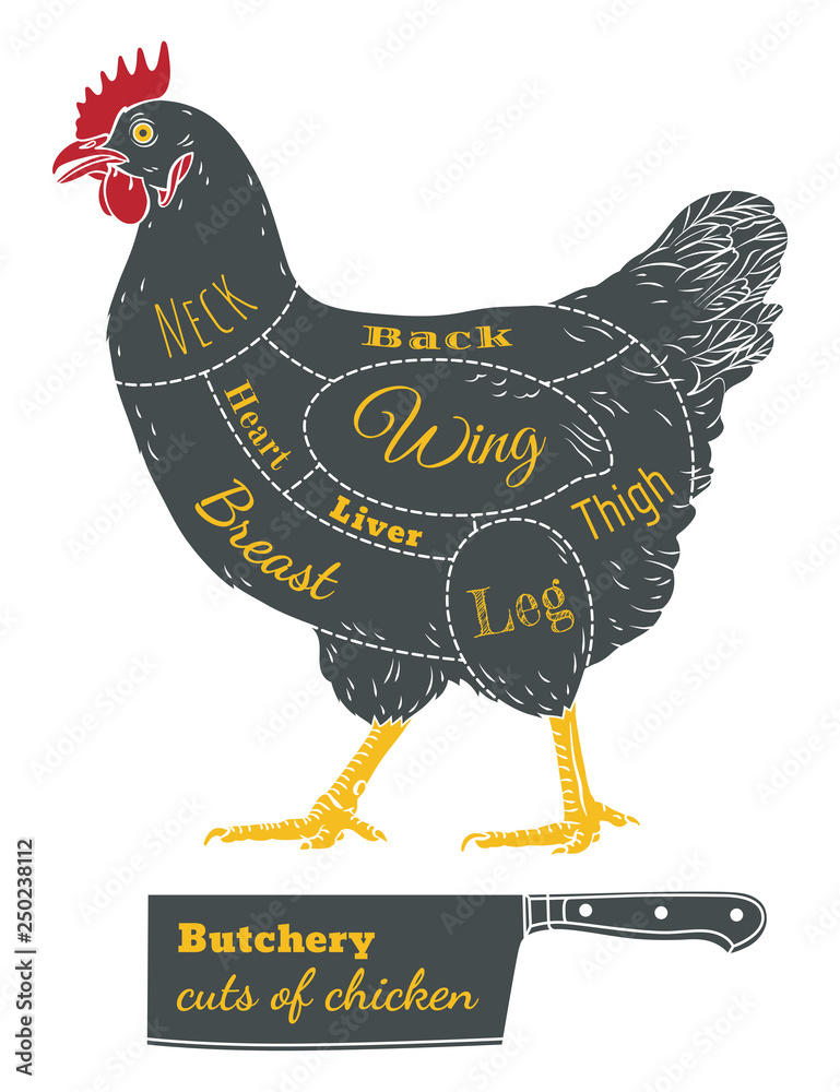 Chicken hen fresh, roster isolated logo, white back. For shop, farm ...