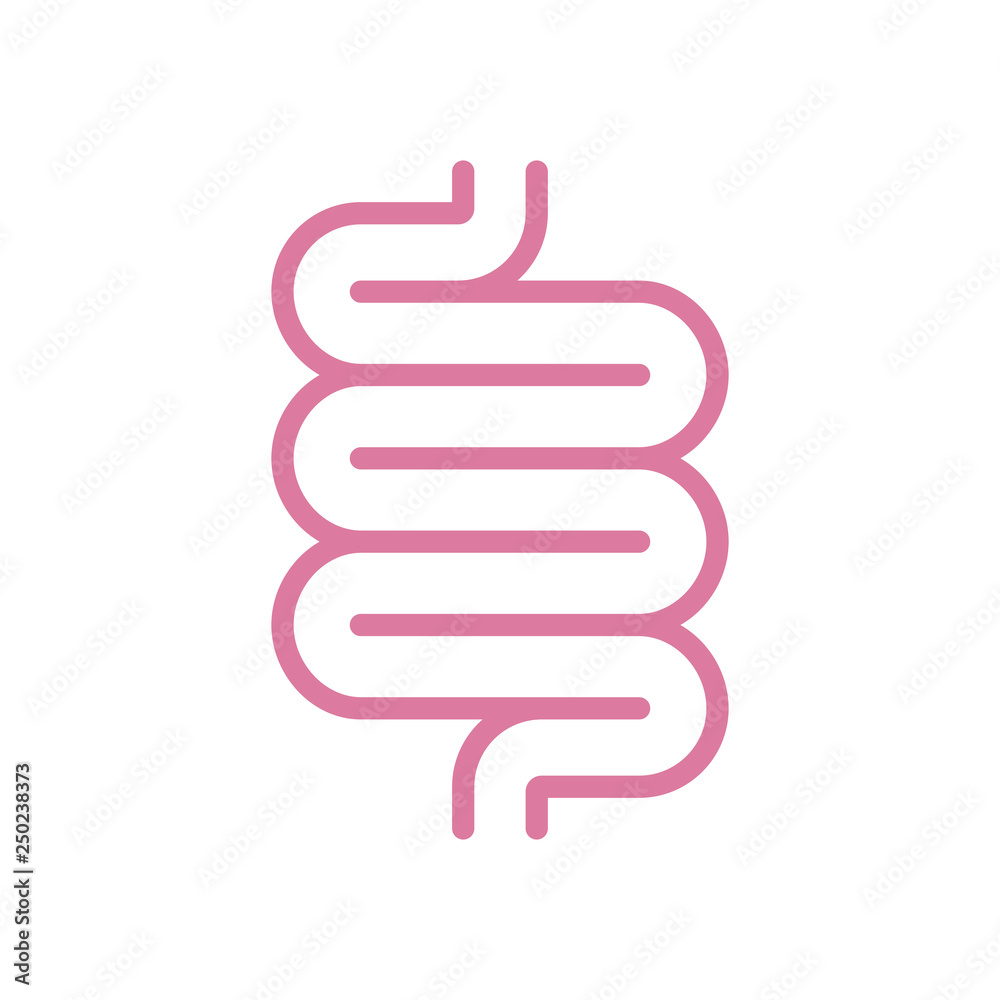 Intestine human icon. Isolated medical symbol on white background ...
