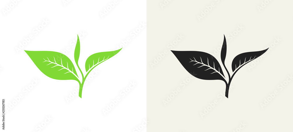 Green tea and black tea. Vector illustration Stock Vector | Adobe Stock