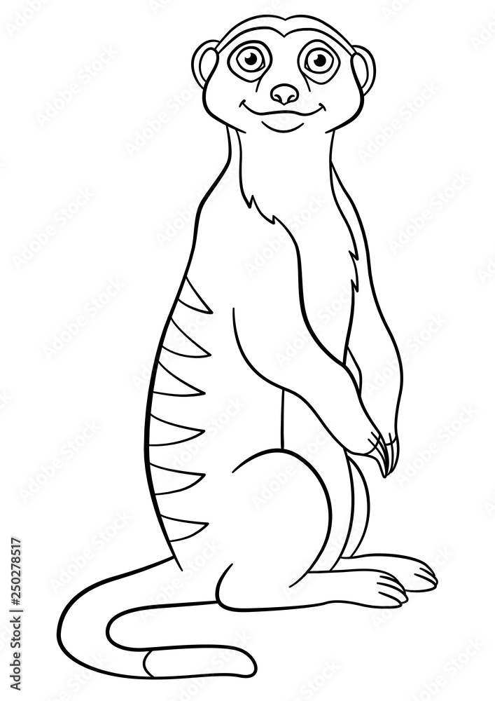 Coloring pages. Little cute meerkat smiles. Stock Vector | Adobe Stock