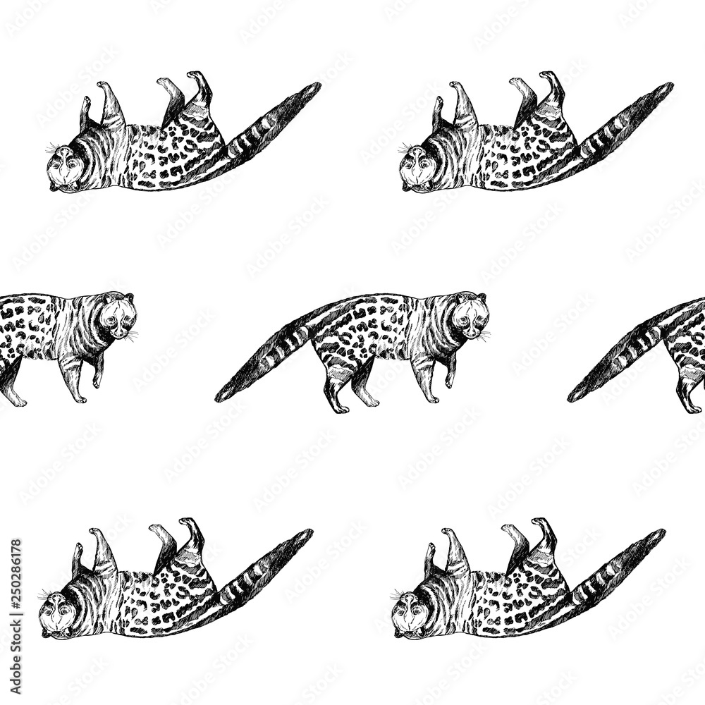 Seamless pattern of hand drawn sketch style genet isolated on white ...