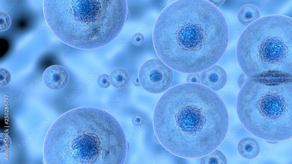 3D illustration of cell division process. Stock Illustration | Adobe Stock