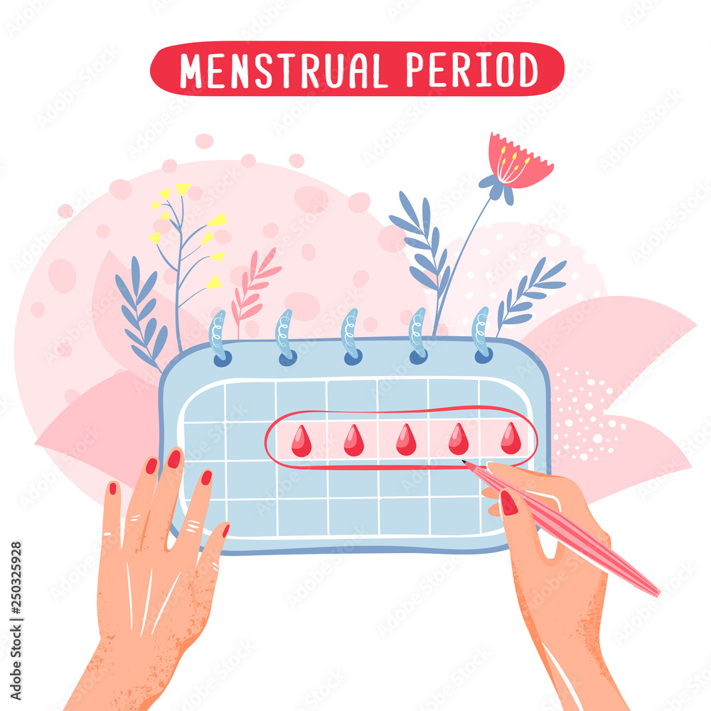 Menstrual period illustration. Woman marks monthly in the calendar ...