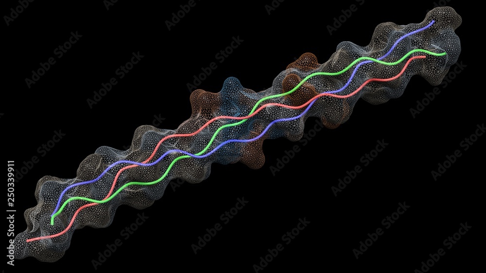 Collagen molecule 3d rendering . Ribbon interior with subtle ...