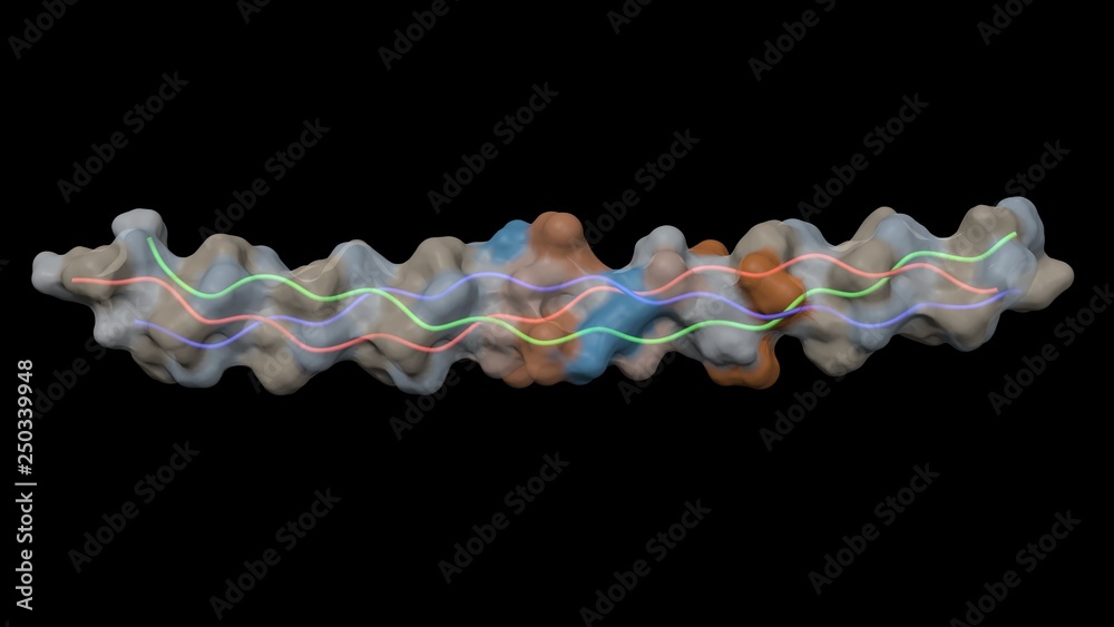 Collagen molecule 3d rendering . Ribbon interior with subtle ...