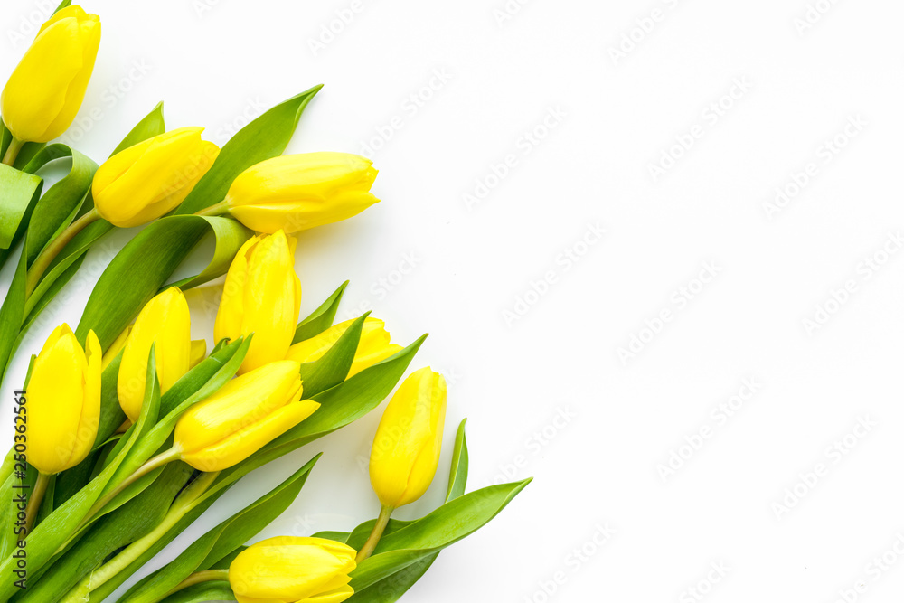 Yellow Tulip Border