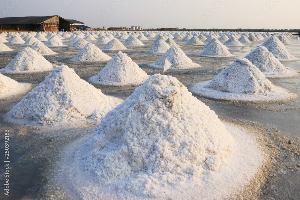 Rural salt farming career in Thailand, allows salt to evaporate and ...