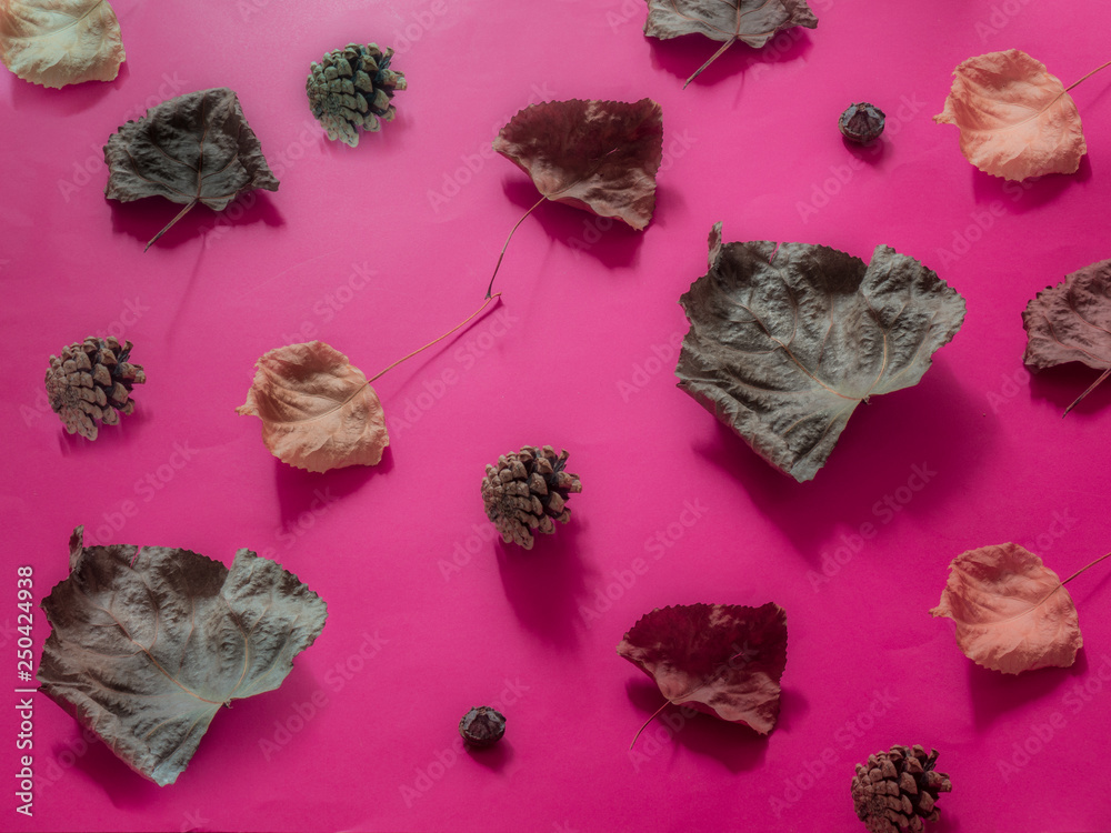 Fall pattern on strong pink background Stock Photo | Adobe Stock