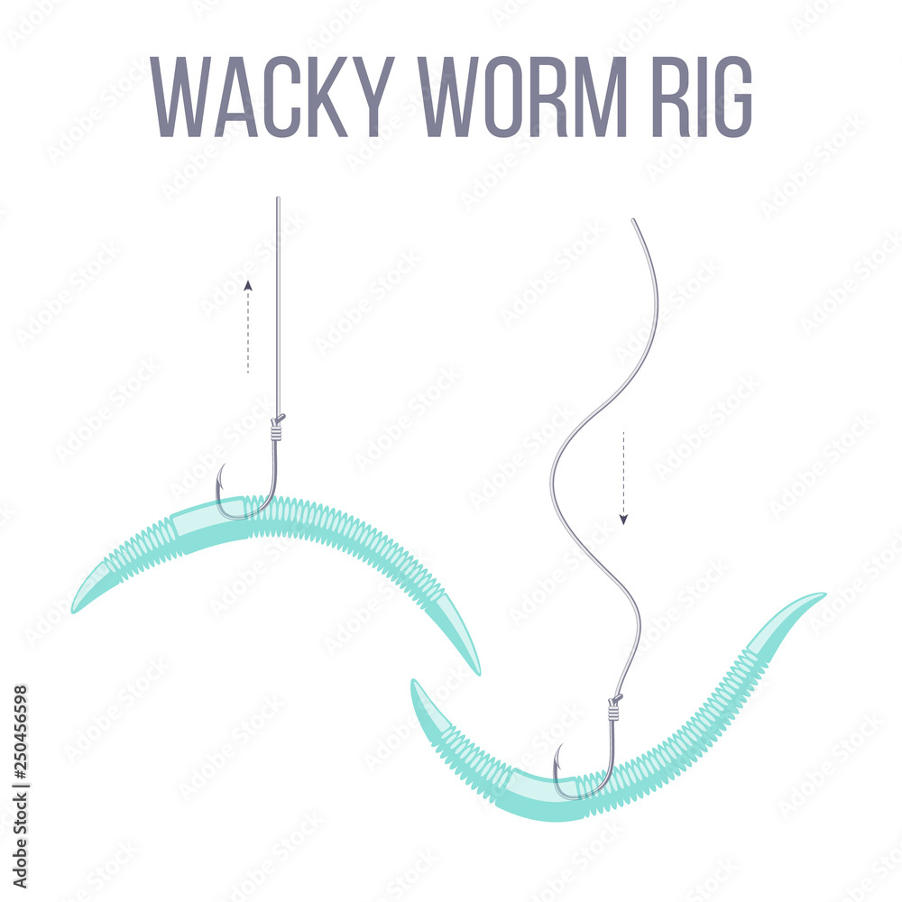Vetor de Wacky worm rig for catching predatory bass fish with spinning ...