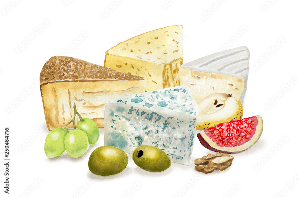 Watercolor cheese composition on white Stock Illustration | Adobe Stock