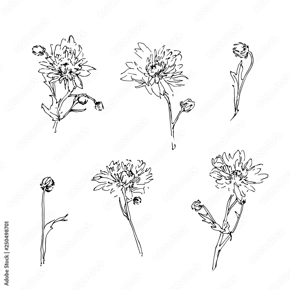 Modern Flower Outline