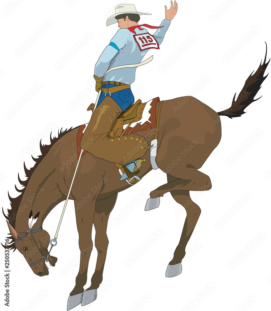 Bucking Bronco Vector Illustration Stock Vector | Adobe Stock