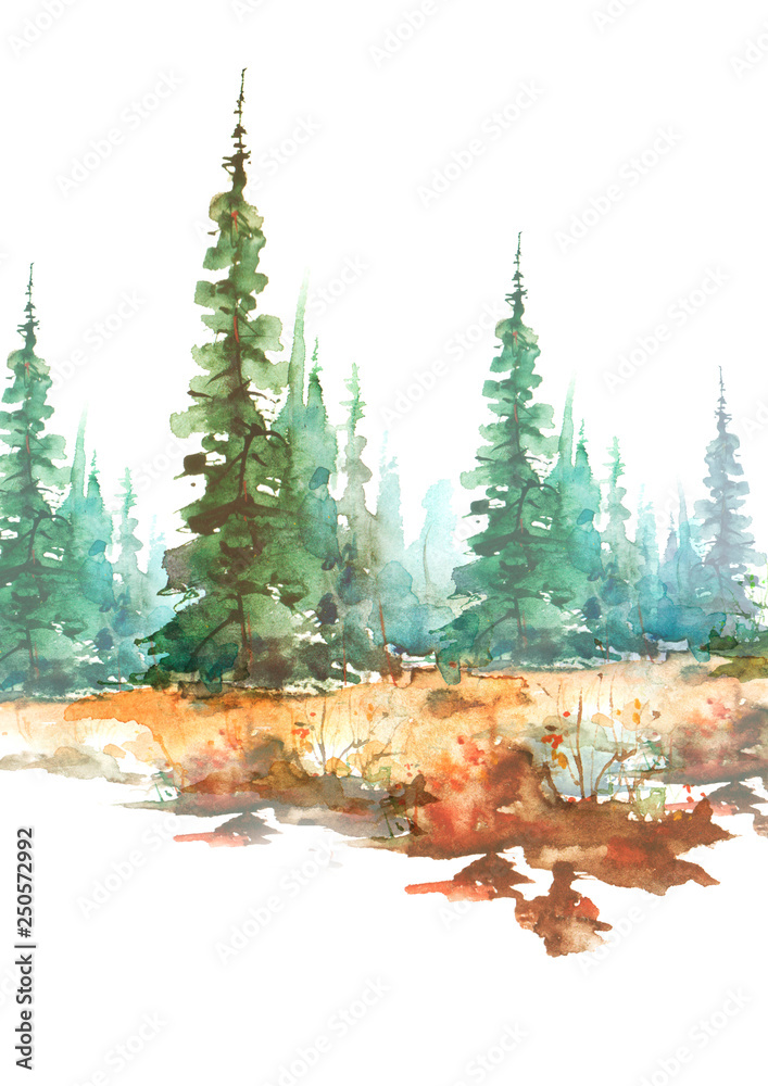 Watercolor trees, forest, pine, green spruce, landscape. Summer forest ...