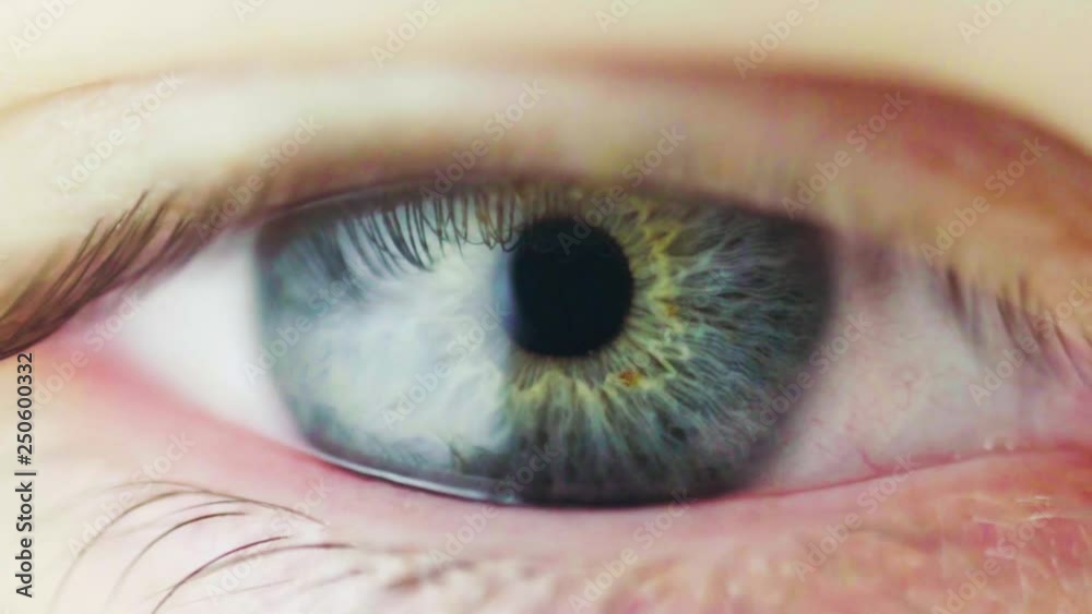 Blinking Blue Female Eye. Macro View of Pupil Constriction Process in ...