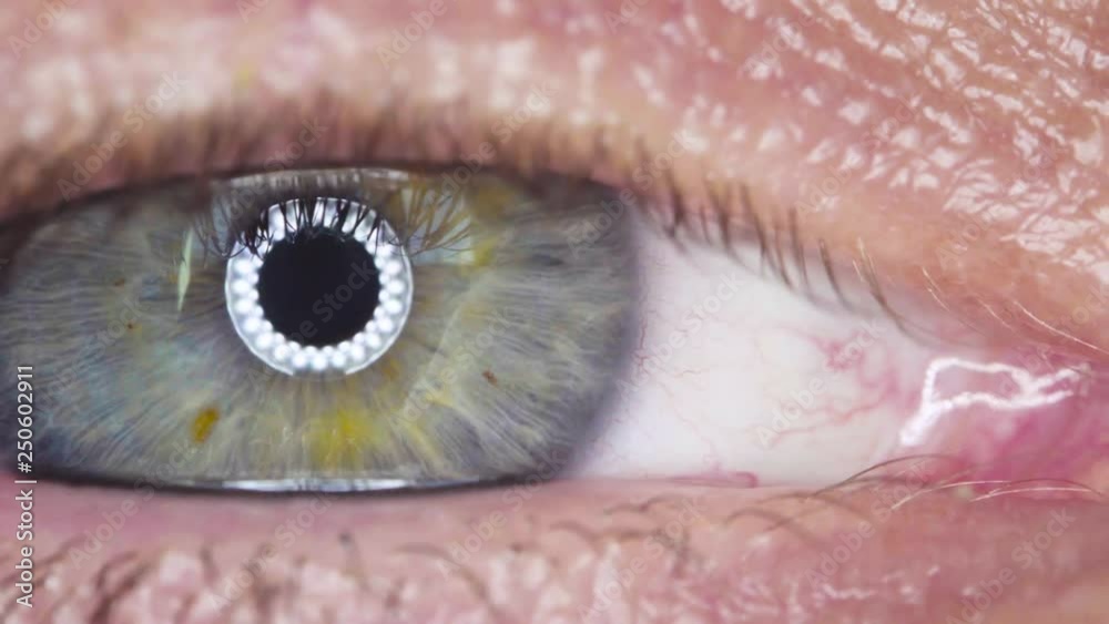 Macro View of Fast Blinking Human Eye. The reflection in the eye of the ...