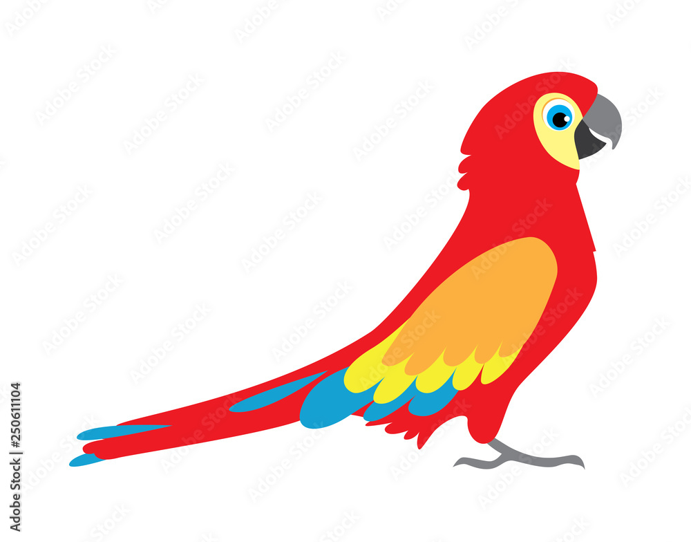 Parrot ara. South American bird cartoon illustration. Flat style icon ...