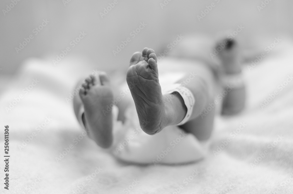 A black and white images of a newborn baby's feet in the neonatal unit ...