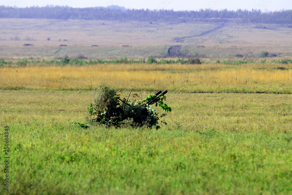 Masked anti-aircraft gun in the field, military operations, the ...