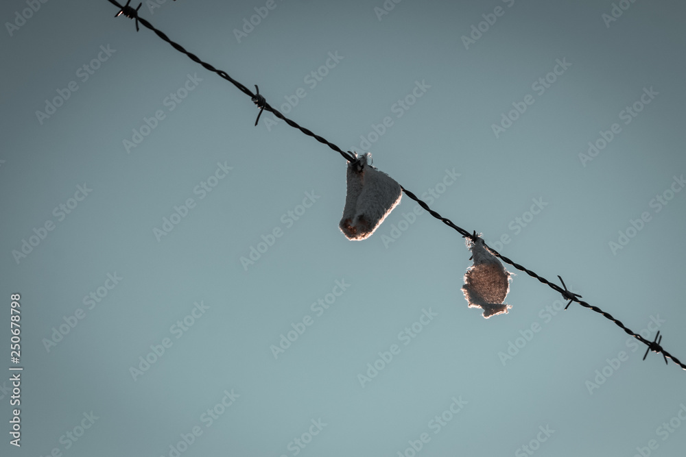 War and political refugee path. Italian beach shore, fenced borders ...