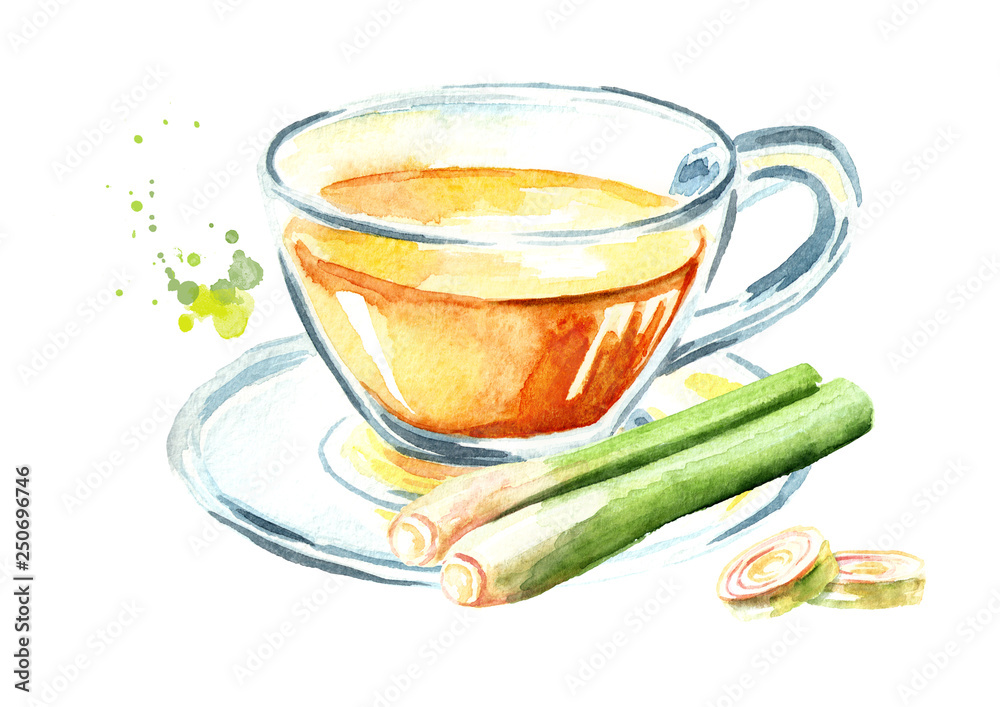 Herbal tea with lemongrass. Watercolor hand drawn illustration ...