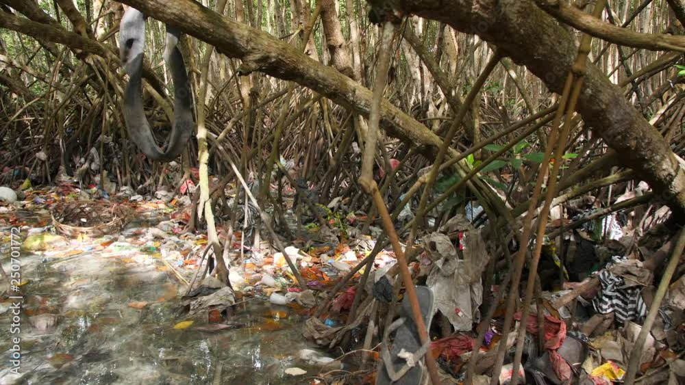 Huge Dump in Tropical Mangrove Tree Forest. Plastic Waste Rubbish ...