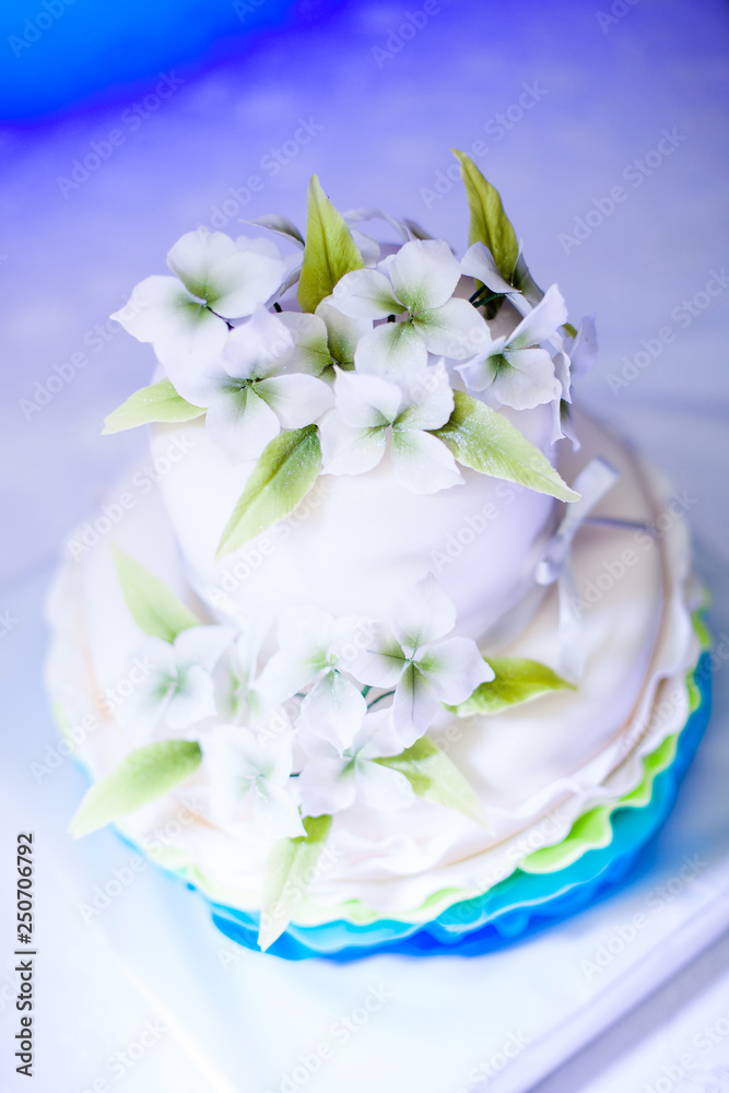 Blue Birthday Cake For Girls