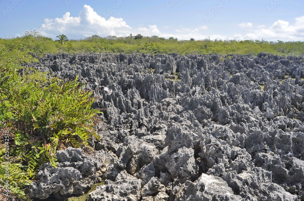 Hell, Cayman Islands Stock Photo | Adobe Stock