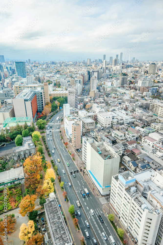 panoramic city skyline view in Tokyo, Japan Stock Photo | Adobe Stock