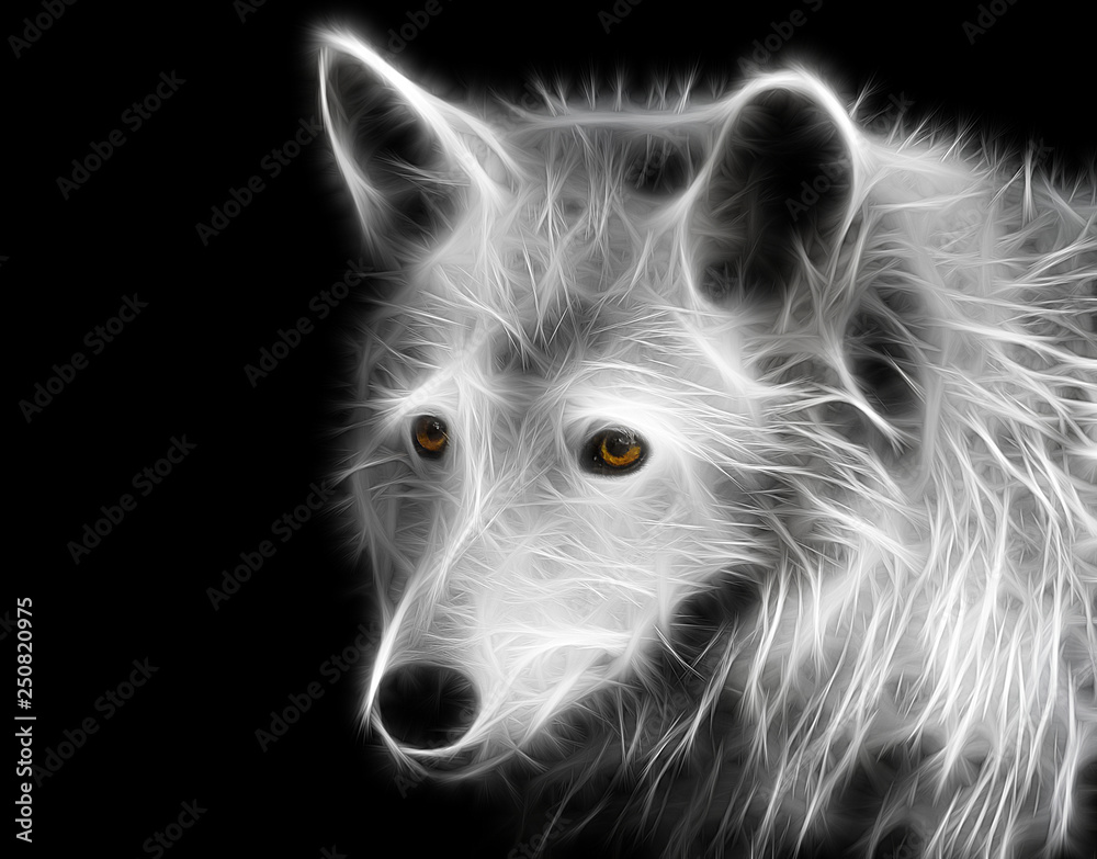 Yellow Wolf Eyes Background
