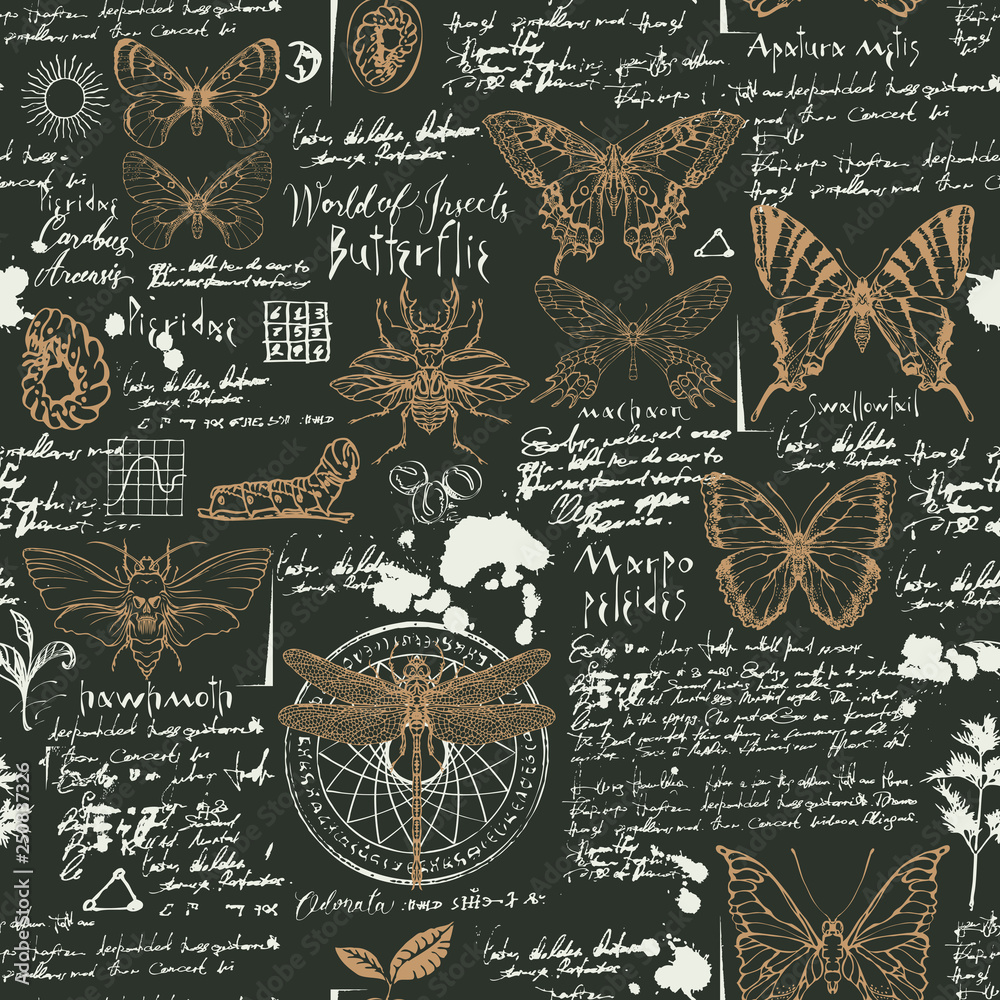 Vector seamless abstract background with insects. Various butterflies ...