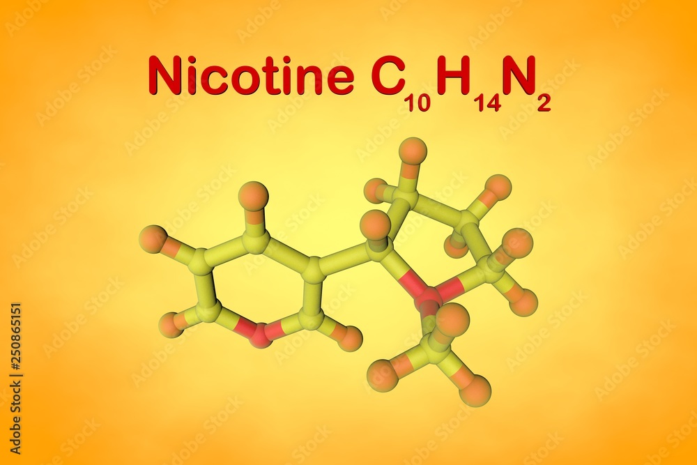 Molecular structure of nicotine, a plant alkaloid present in tobacco ...