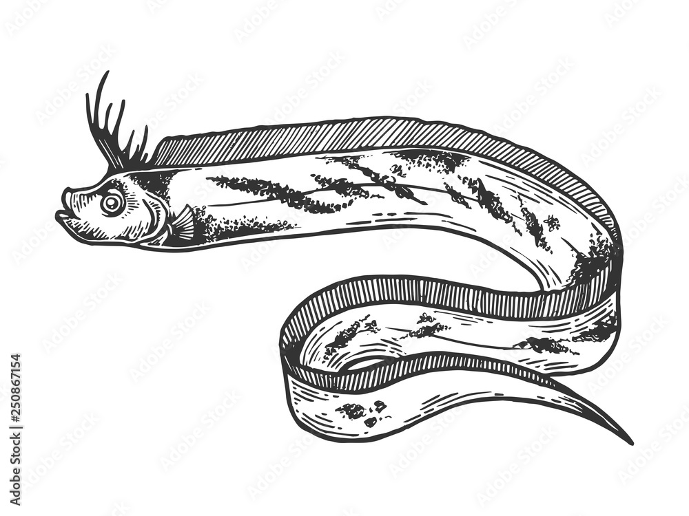 Giant oarfish fish animal sketch engraving vector illustration. Scratch ...