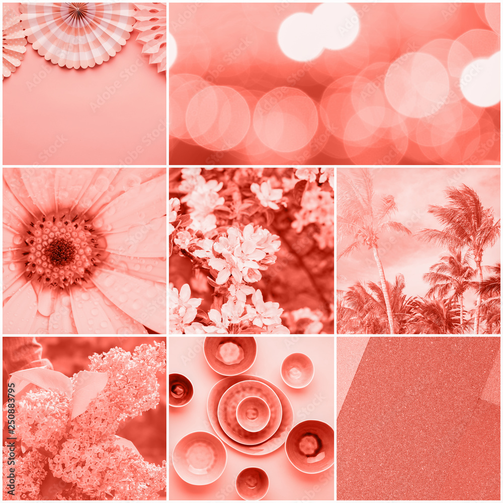Collage in trendy coral colors, variety of objects, Chinese paper fans ...