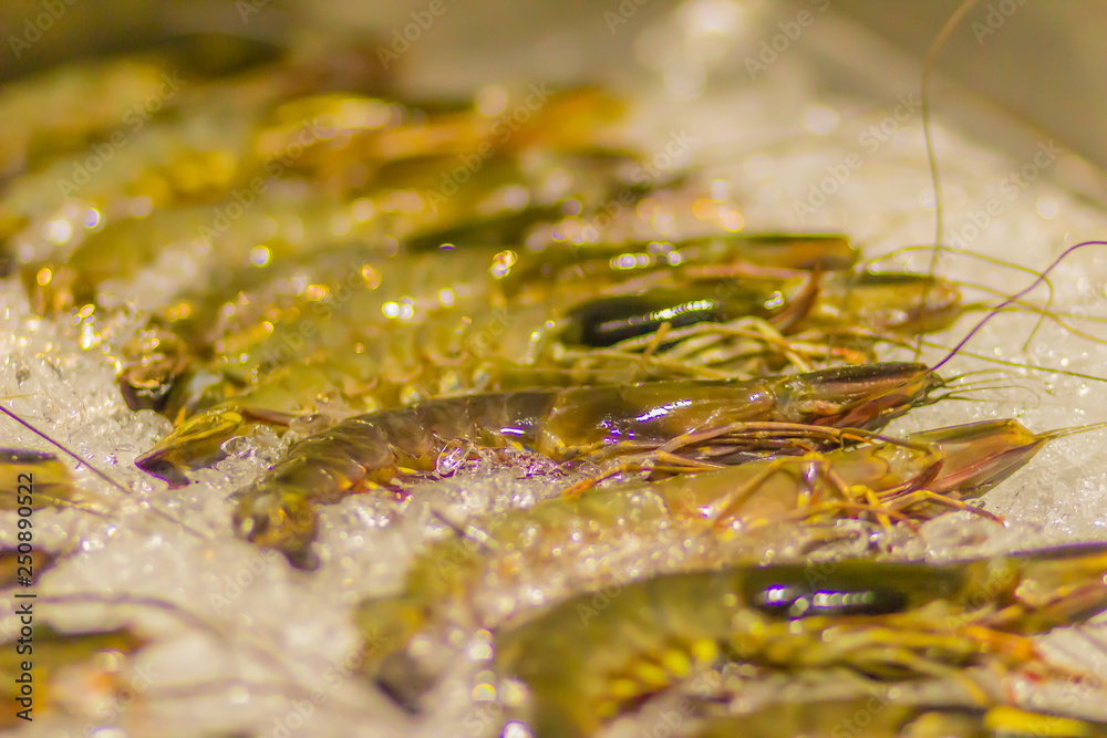 Giant tiger prawns for sale in a supermarket. Extra large size of ...